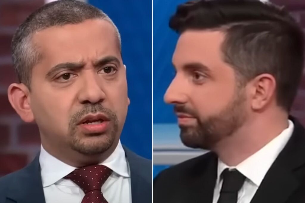 CNN bans conservative panelist after on-air ‘racist’ remark directed at ...