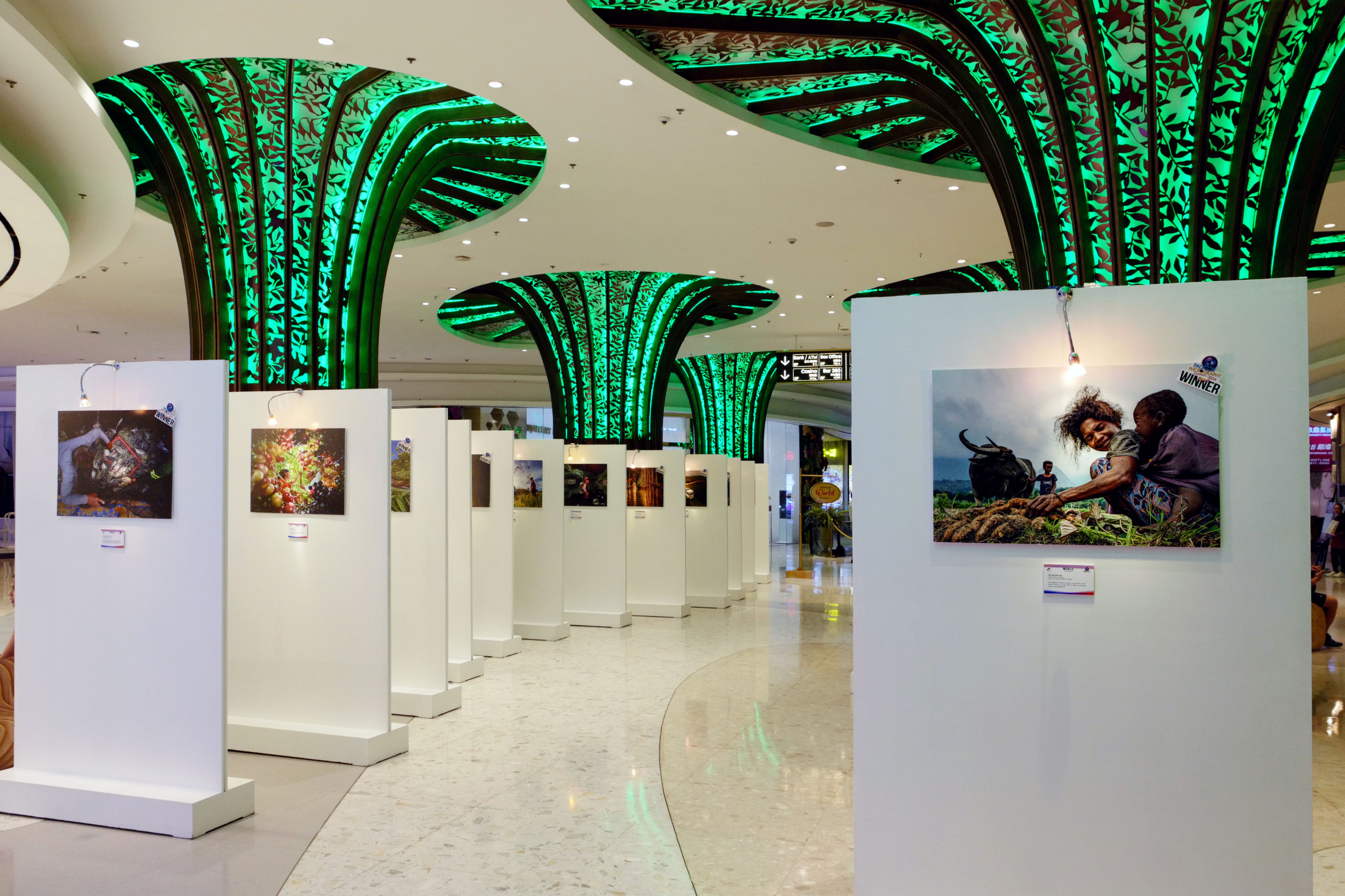 Join the celebration of Filipino talent at PAGCOR 2024 exhibit