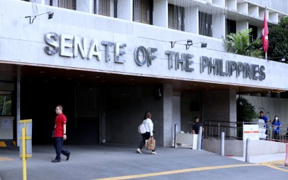 Legarda seeks senate probe on violence against indigenous peoples in BARMM