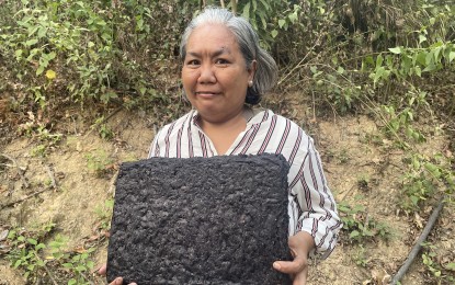 Gamet Empanada: A Flavorsome Treasure of Burgos, Ilocos Norte