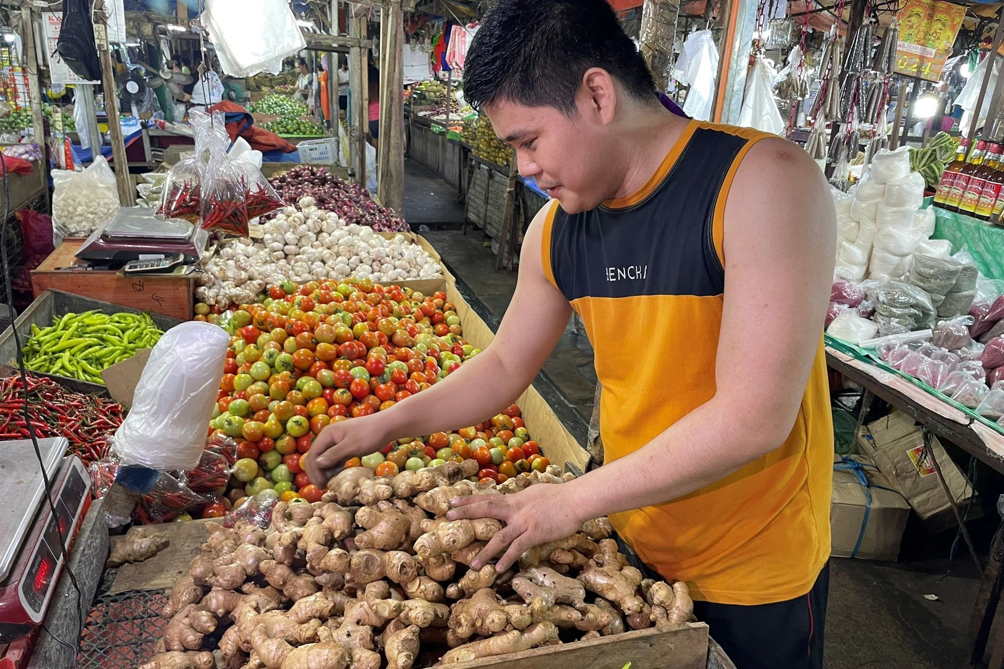 Nueva Vizcaya named Philippines’ Ginger Capital