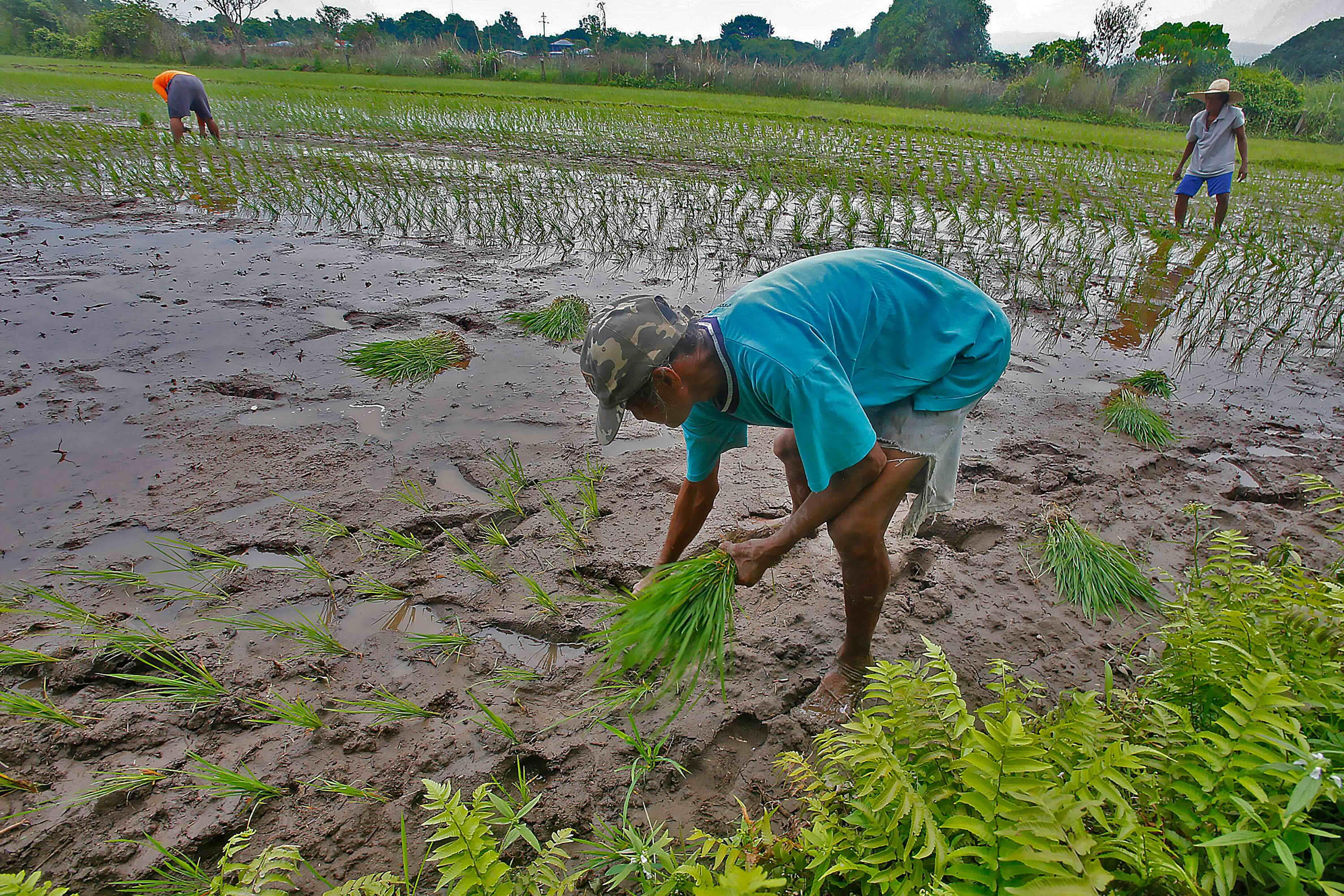 Agriculture Secretary confident in improved agricultural performance ...