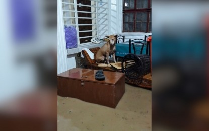 Pangasinan town declares state of calamity due to flooding