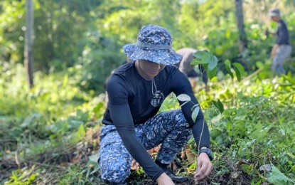 BJMP Mimaropa celebrates 23rd Anniversary with tree planting activity