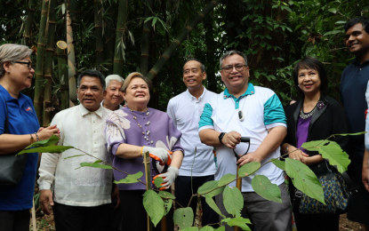ASEAN diplomats mark 58th ASEAN Day with tree planting in Laguna – The ...