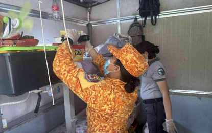 BJMP, BFP conduct surprise greyhound inspection in Romblon jail – The ...