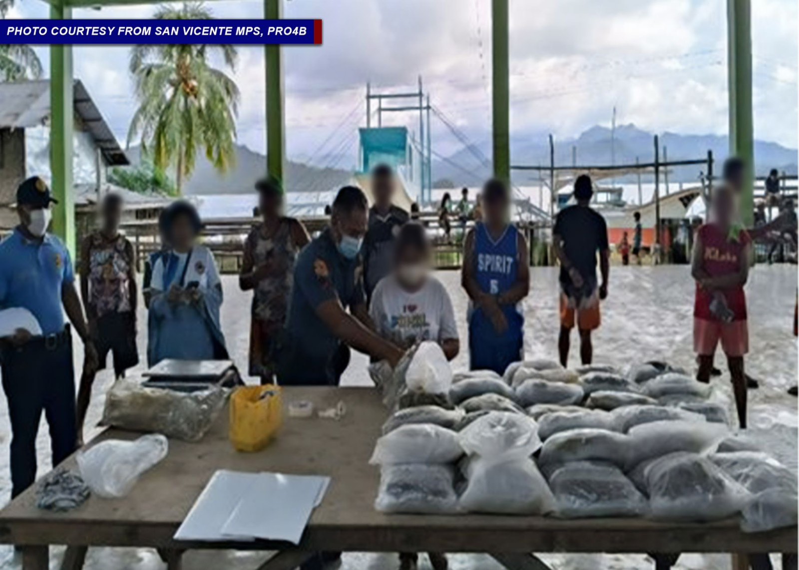 Authorities seize P19.2-M worth of kush off Palawan