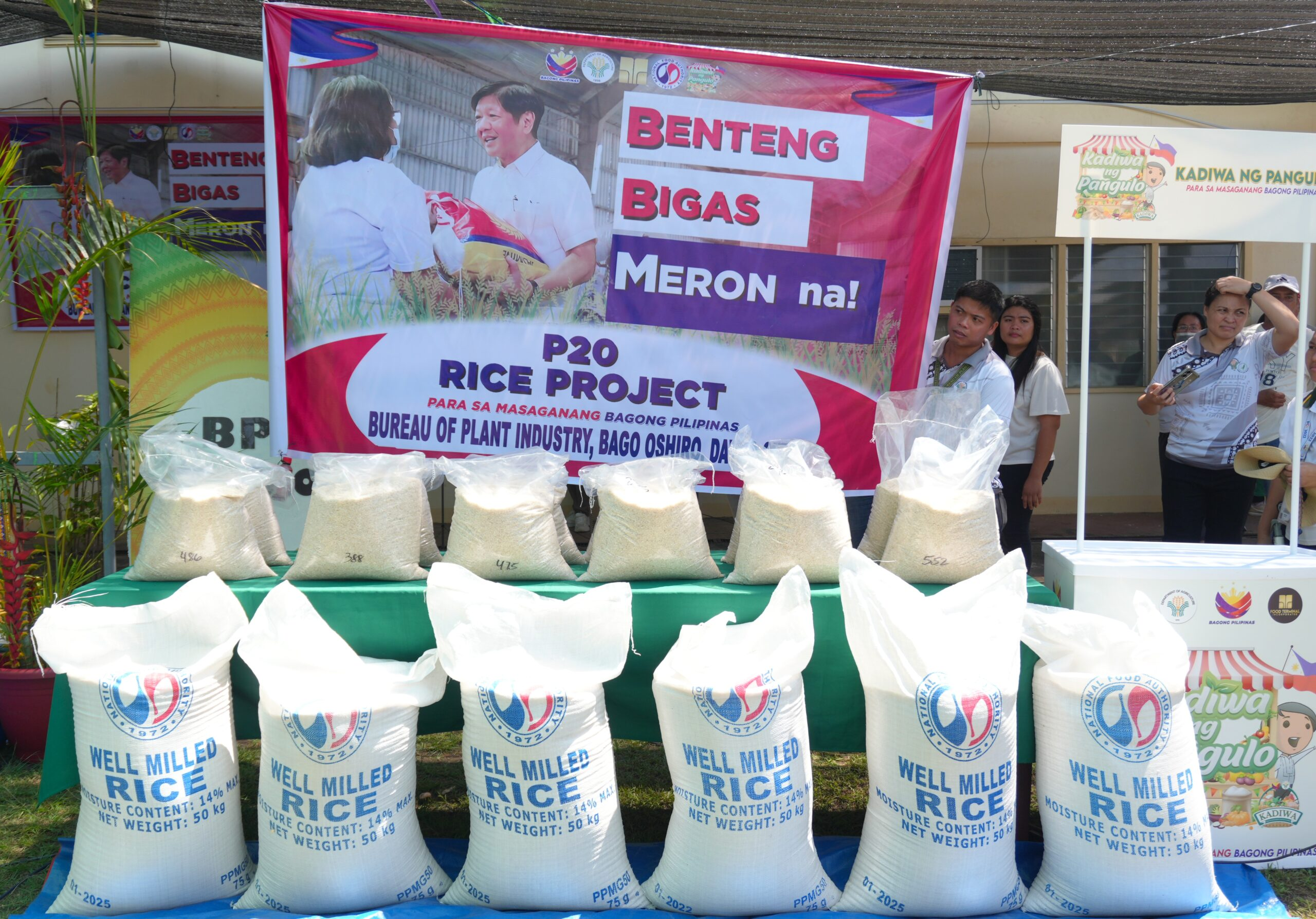 P20 Rice Now Available in Samar: Affordable Access Initiative