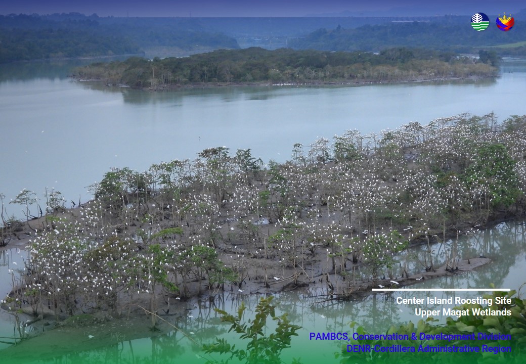 Palace pushes for ‘zero hospital bill’ access for middle-class Filipinos