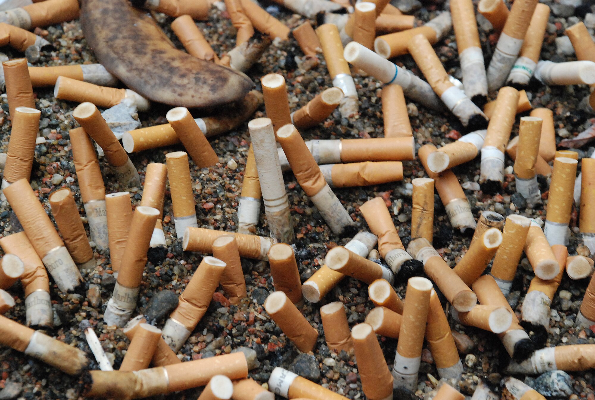 Cigarette butts, candy wrappers top Metro Manila’s 2025 trash list ...