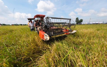 DA moves to shield food supply as oil shock and El Niño threaten farm ...