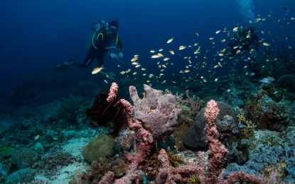 DOT seeks marine conservation, livelihood balance in Sogod Bay