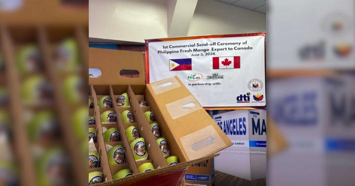 PH mangoes gain new export pathway in Canada